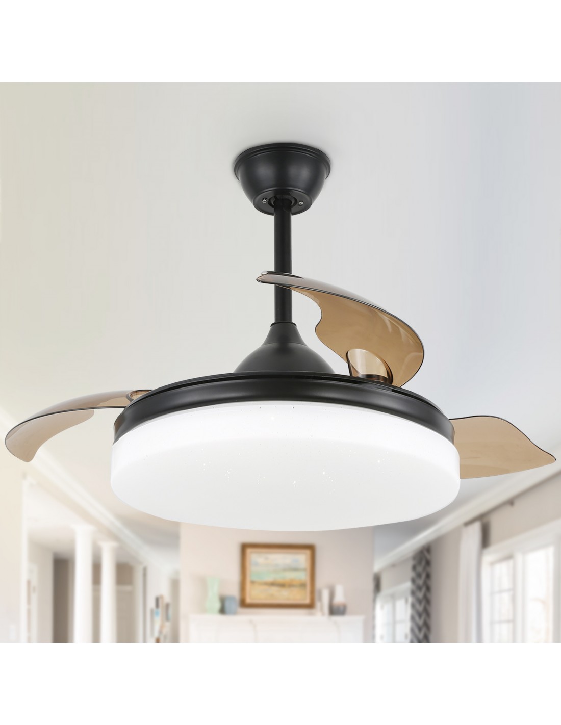 Ceiling Fan
